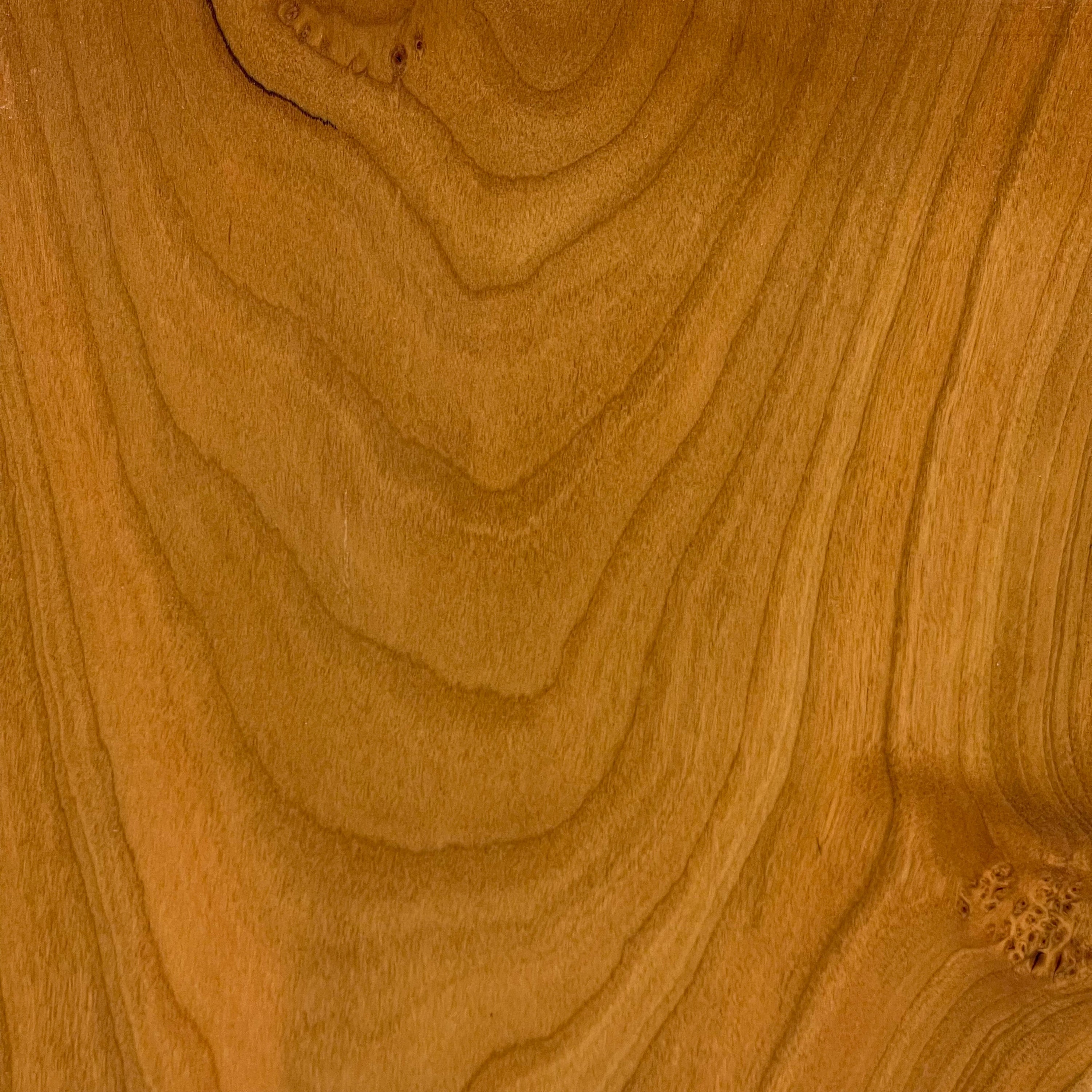 Mountain River Timber